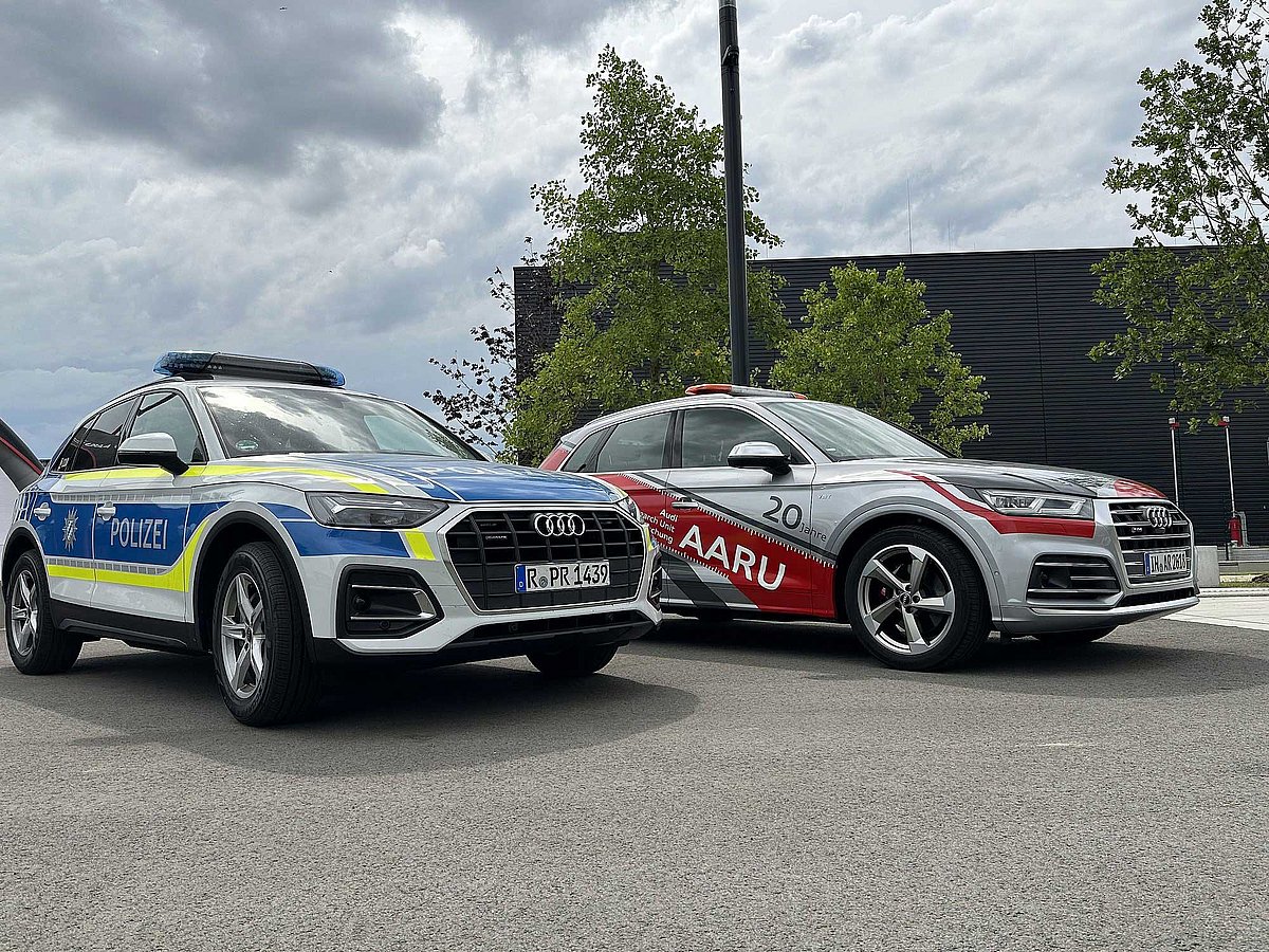 Detail - AARU: Audi Accident Research Unit